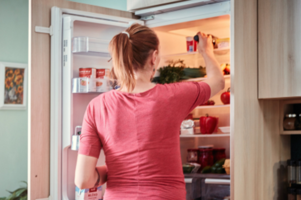 Fridges | Overview - Consumer NZ