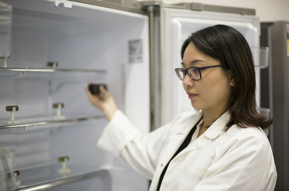 How we test fridges - Consumer NZ