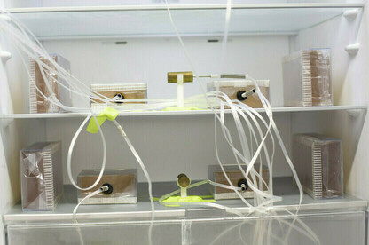 How we test freezers - Consumer NZ