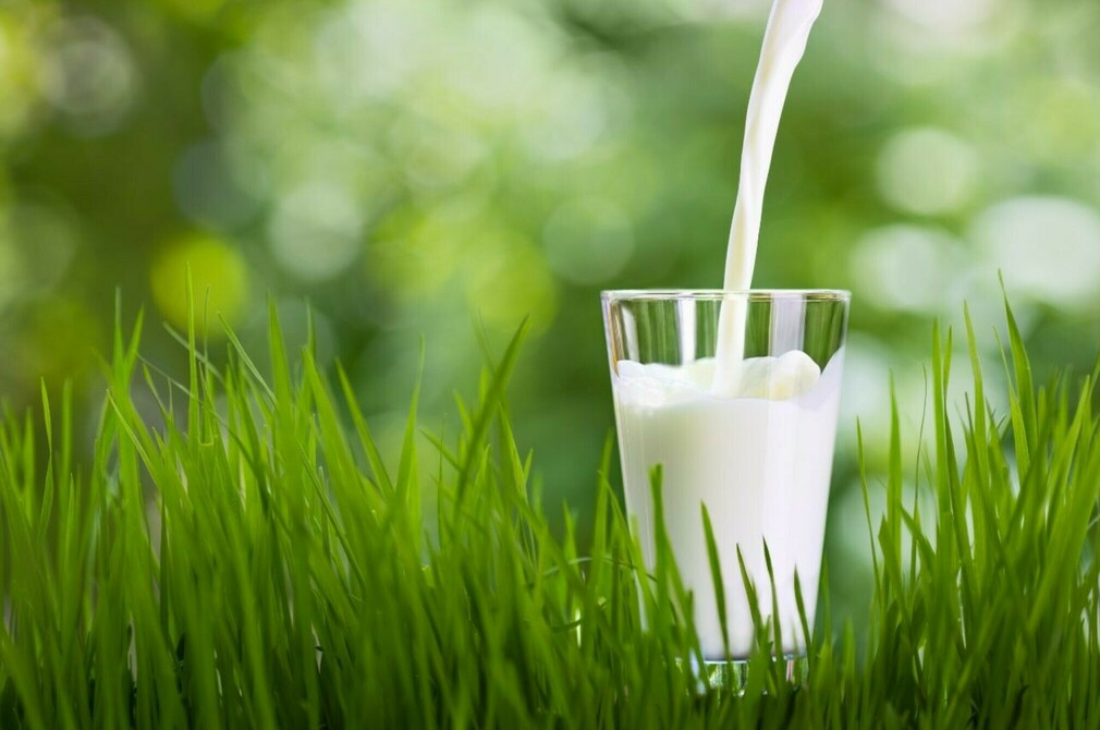 Carbon claims on Simply Milk: Can we trust them? - Consumer NZ