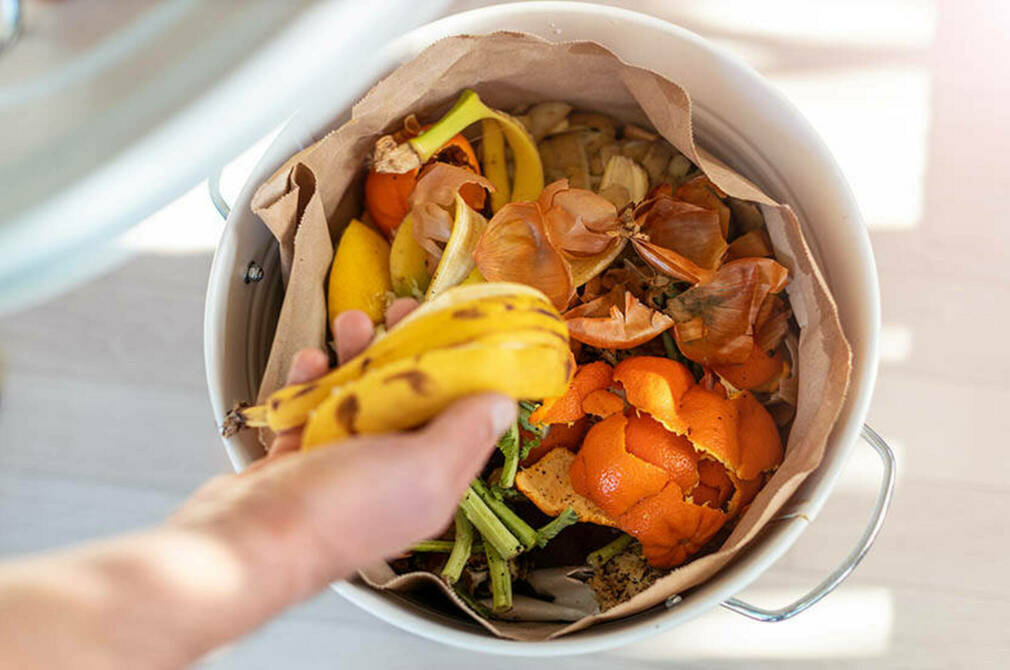 Less Waste More Taste How To Eat Your Food Scraps Consumer NZ