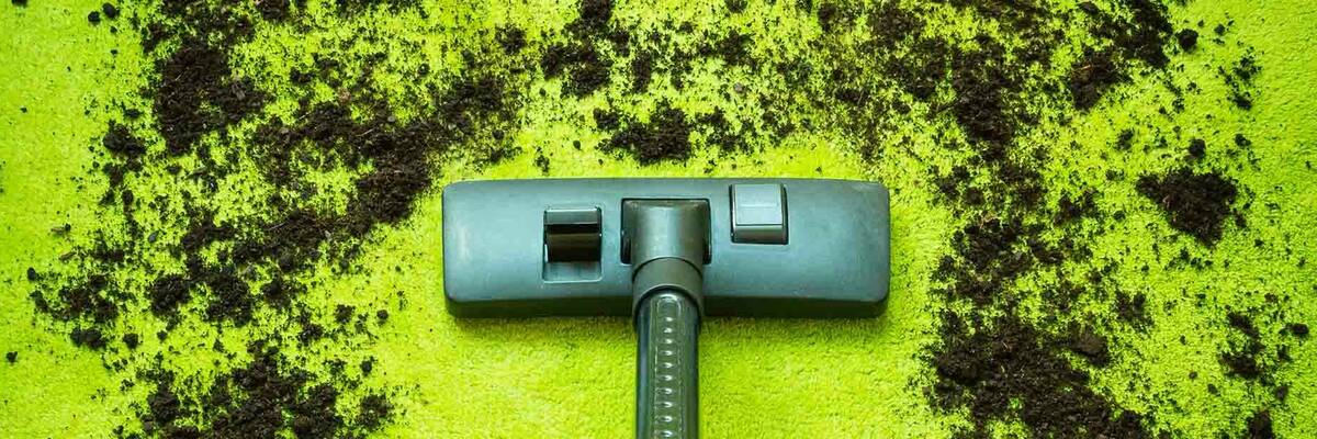 Buying a "greener" vacuum cleaner - Consumer NZ