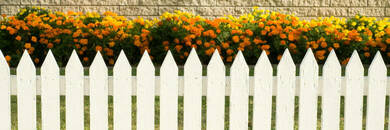 Property: your rights - Consumer NZ