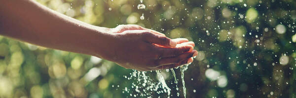 How to save water in the laundry - Consumer NZ