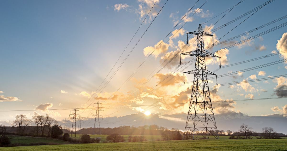 Best and worst power companies - Consumer NZ