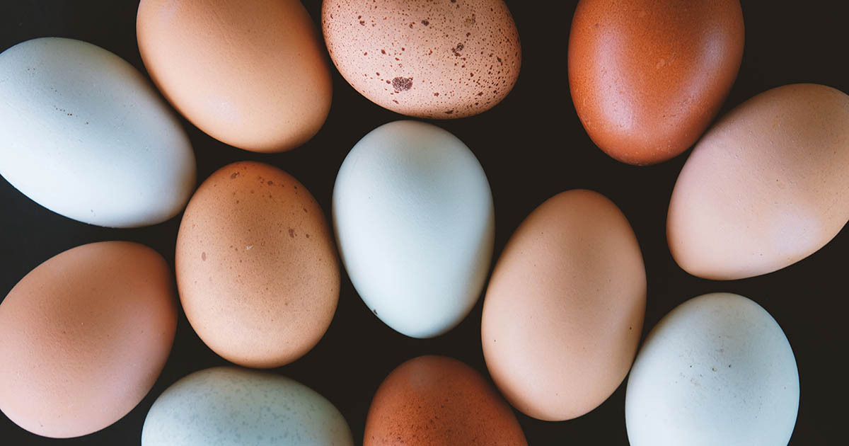 Eggs safe again after close call with salmonella - Consumer NZ