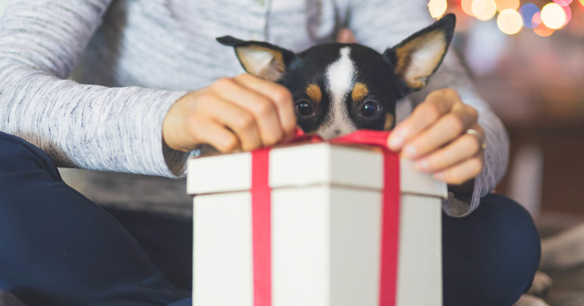 Majority happy to get home-made and second-hand gifts, our survey finds ...