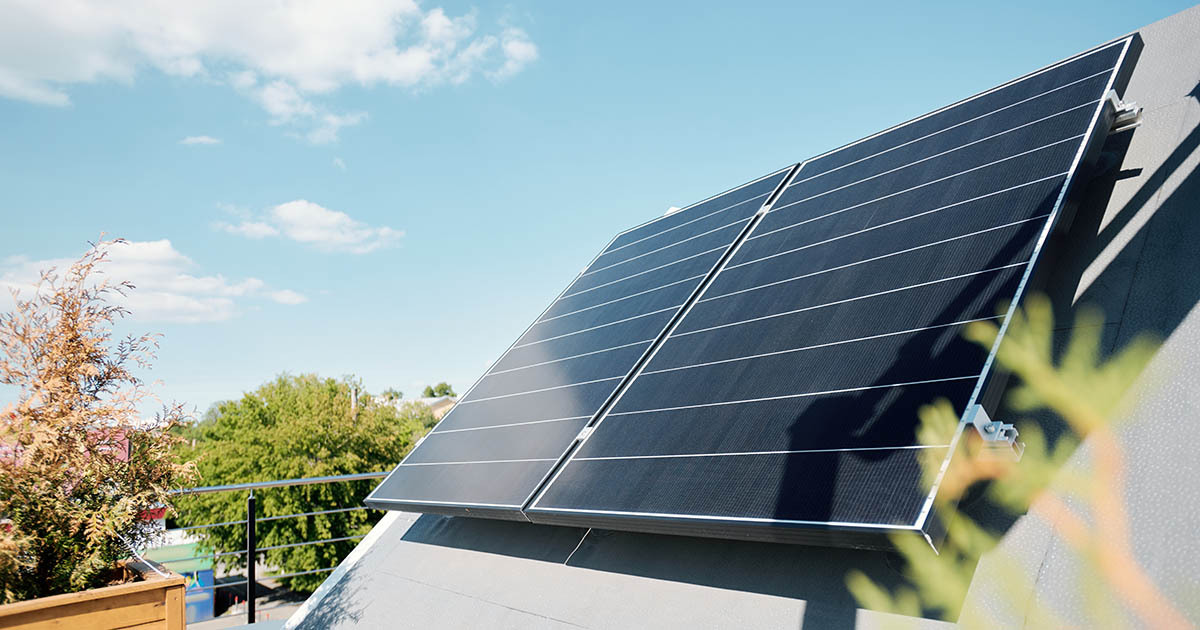 SolarZero: is it worth it? - Consumer NZ