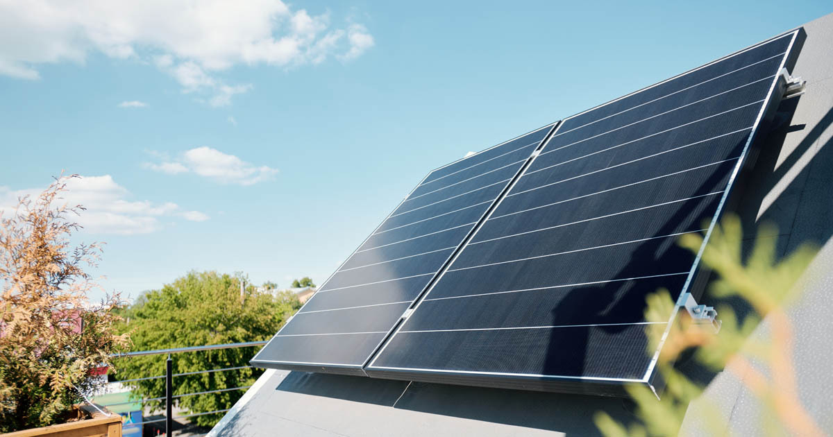 We’ve made it easy to compare solar buy-back rates - Consumer NZ