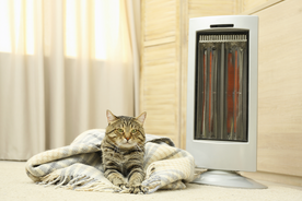 Choosing a heater - heating options - Consumer NZ