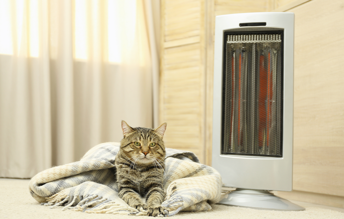 Choosing a heater - heating options - Consumer NZ