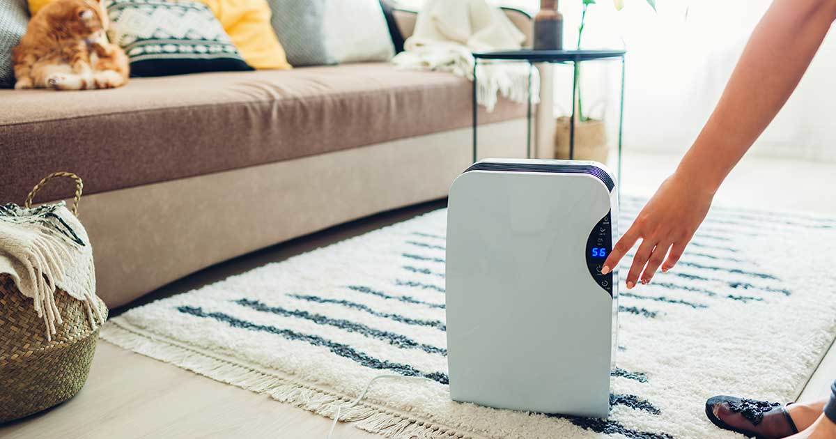 Dry home systems & products - Consumer NZ