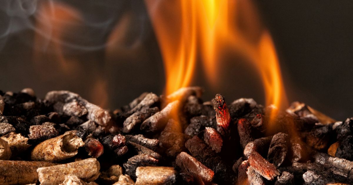 Pellet burners | Buying guide - Consumer NZ